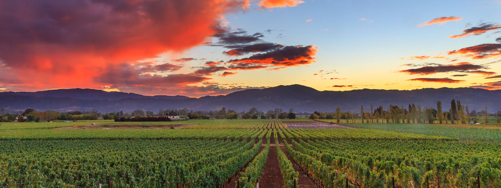 Contact - Ladera Vineyards